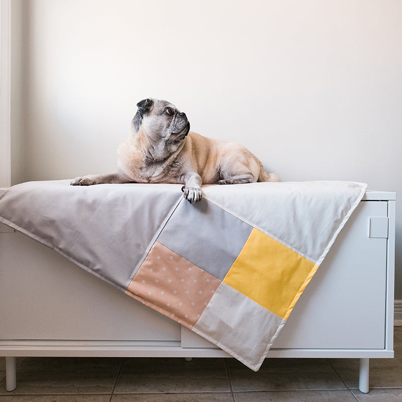 Easy DIY Pet Quilt – The Rover Boutique