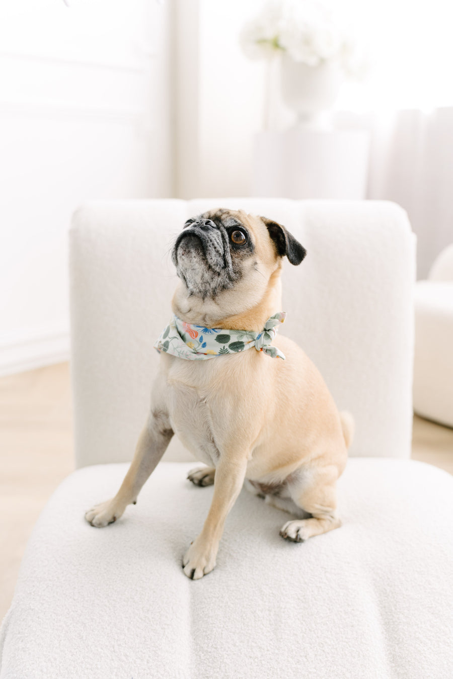 TOP 10 MUST READ PREPPY BOOKS – The Rover Boutique