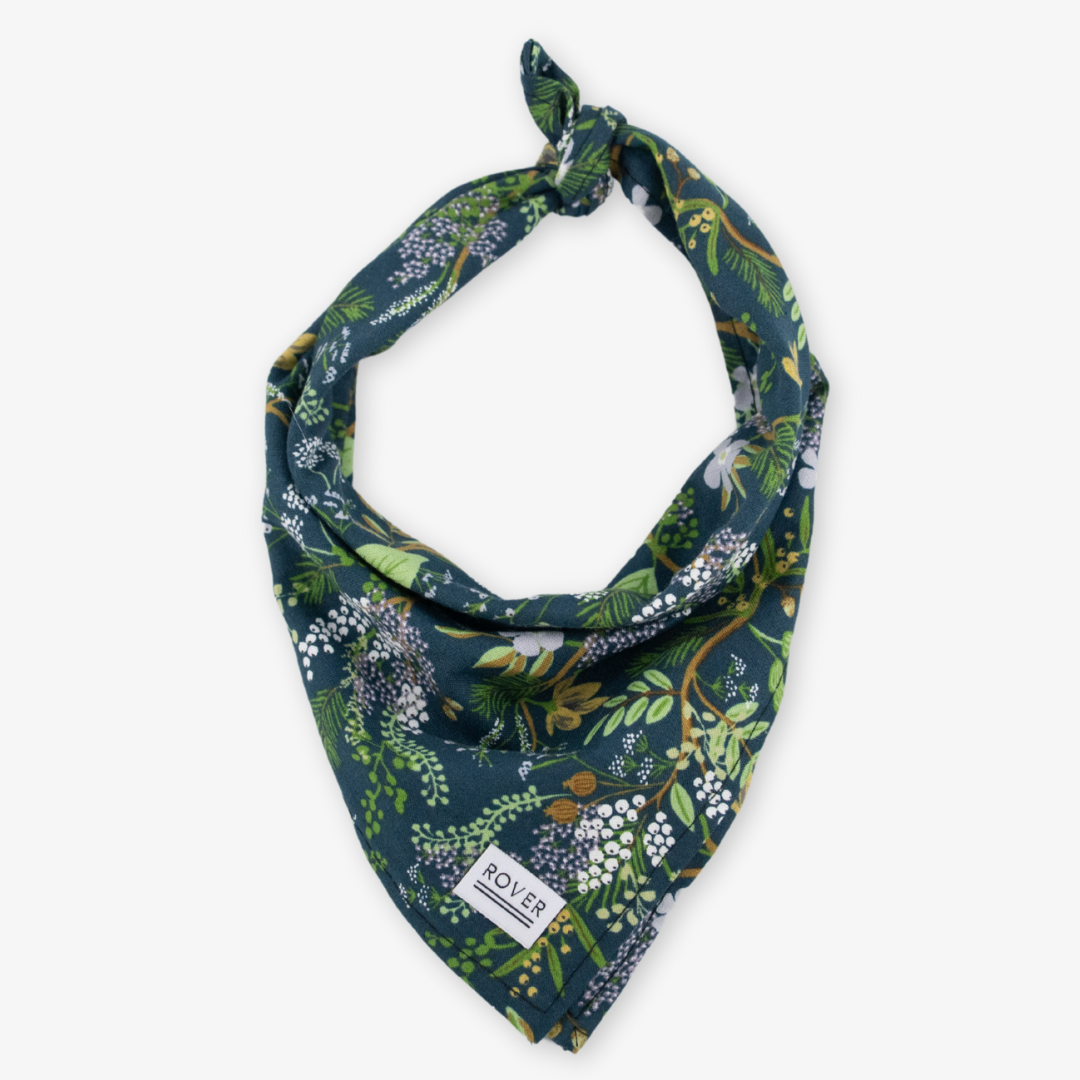 Juniper Dog Bandana | The Rover Boutique